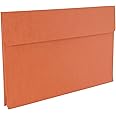 Amazon.com : 11x17 2'' Expanding Filing Folder (10 per Package ...