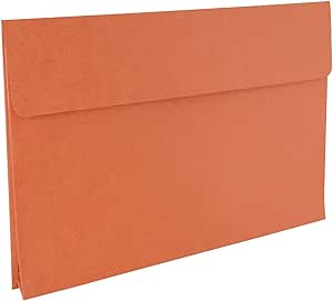 Amazon.com : 11x17 2-Inch Expanding Filing Folder, Pack of 10, Red Rope ...