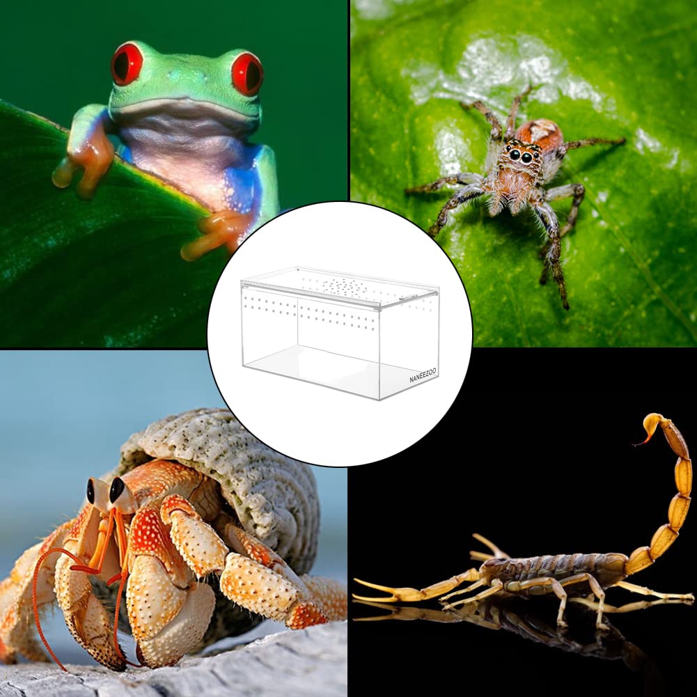 Mua NANEEZOO Magnetic Acrylic Reptile Terrarium Enclosure, 8" x 4" x 4 ...