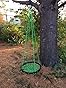 Amazon.com: Web Swing - 24 Inch Spider Rope Tree Swing - Outdoor Toy ...