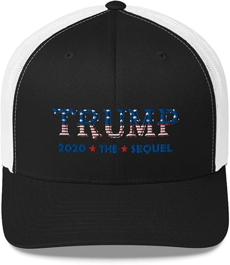 Trump 2020 The Sequel hat | Republican Election hat | Trump Supporters ...