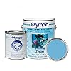 Olympic Pool Paint - Zeron - Blue Ice - 1 Gallon - two-part epoxy ...