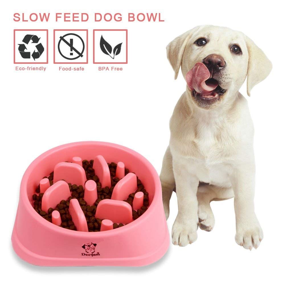 How Do You Stop A Dog From Overeating