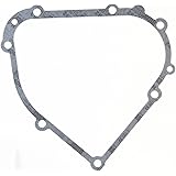 Amazon.com : Briggs & Stratton 795697 Camshaft Replaces 790958/790496 ...