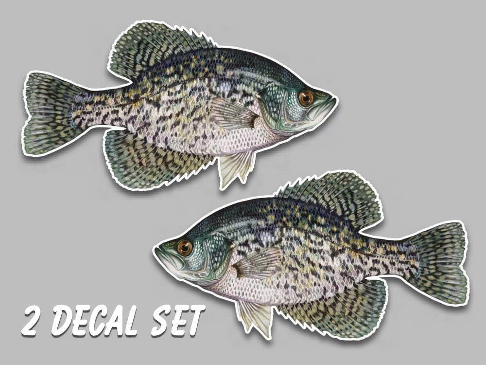 Crappie Crazy Fishing Home Decor Car Truck Window Decal Sticker