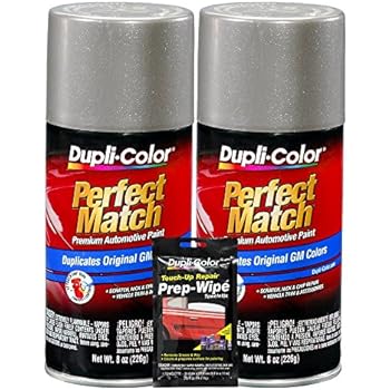 Amazon.com: Dupli-Color Pewter Metallic Exact-Match Automotive Paint ...