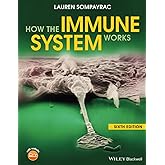 How the Immune System Works: 9781405162210: Medicine & Health Science ...