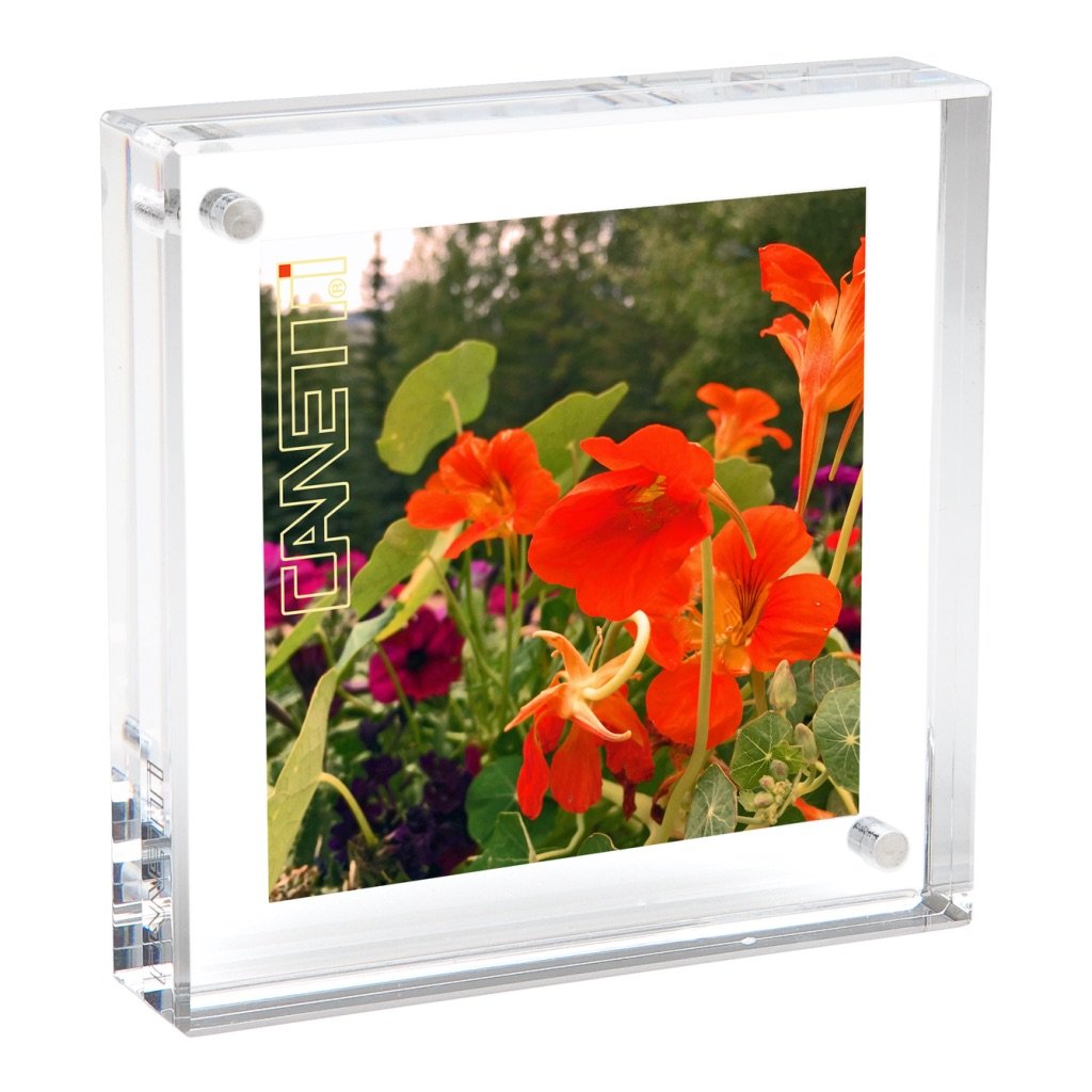 Amazon.com: Canetti Original Magnet Frame Square 2x2 Double Sided ...