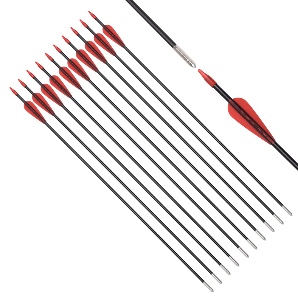 Fiberglass Arrows Archery 30 Inch Target Shooting Practice Safetyglass ...