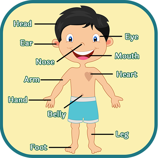 Human Body Parts Learning For Kids Preschool Games Br Images And