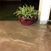 STORM: Deb Grant: 9780982422663: Amazon.com: Books