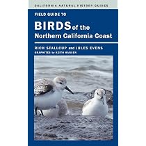 Northern California Coastal Birds