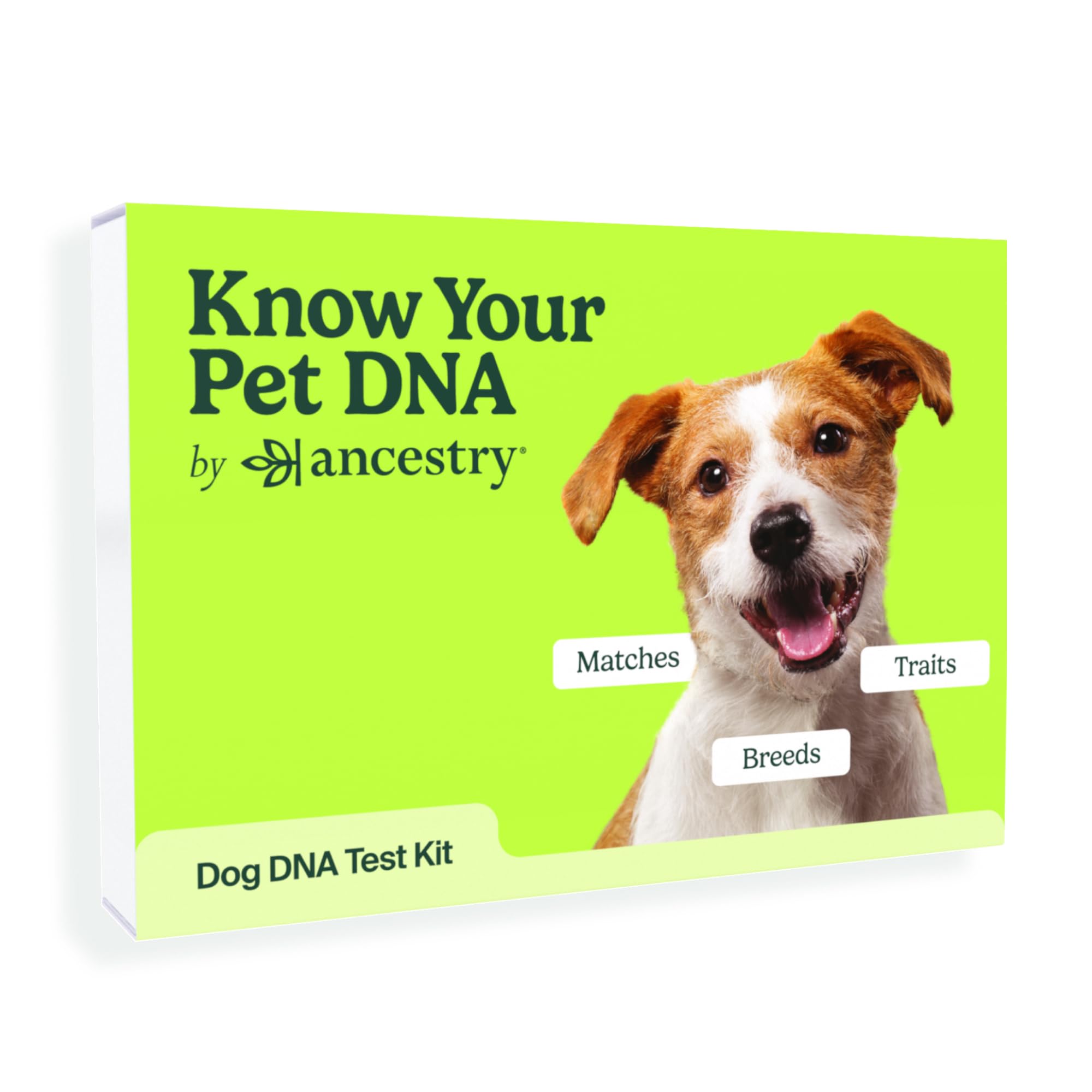 Mua Know Your Pet DNA: Dog DNA Breed Identification Test, Genetic ...