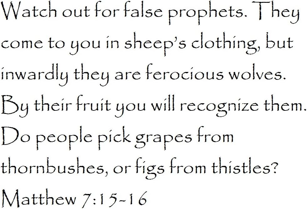 Amazon.com: Tapestry Of Truth - Matthew 7:15-16 - TOT2471 - Wall and ...
