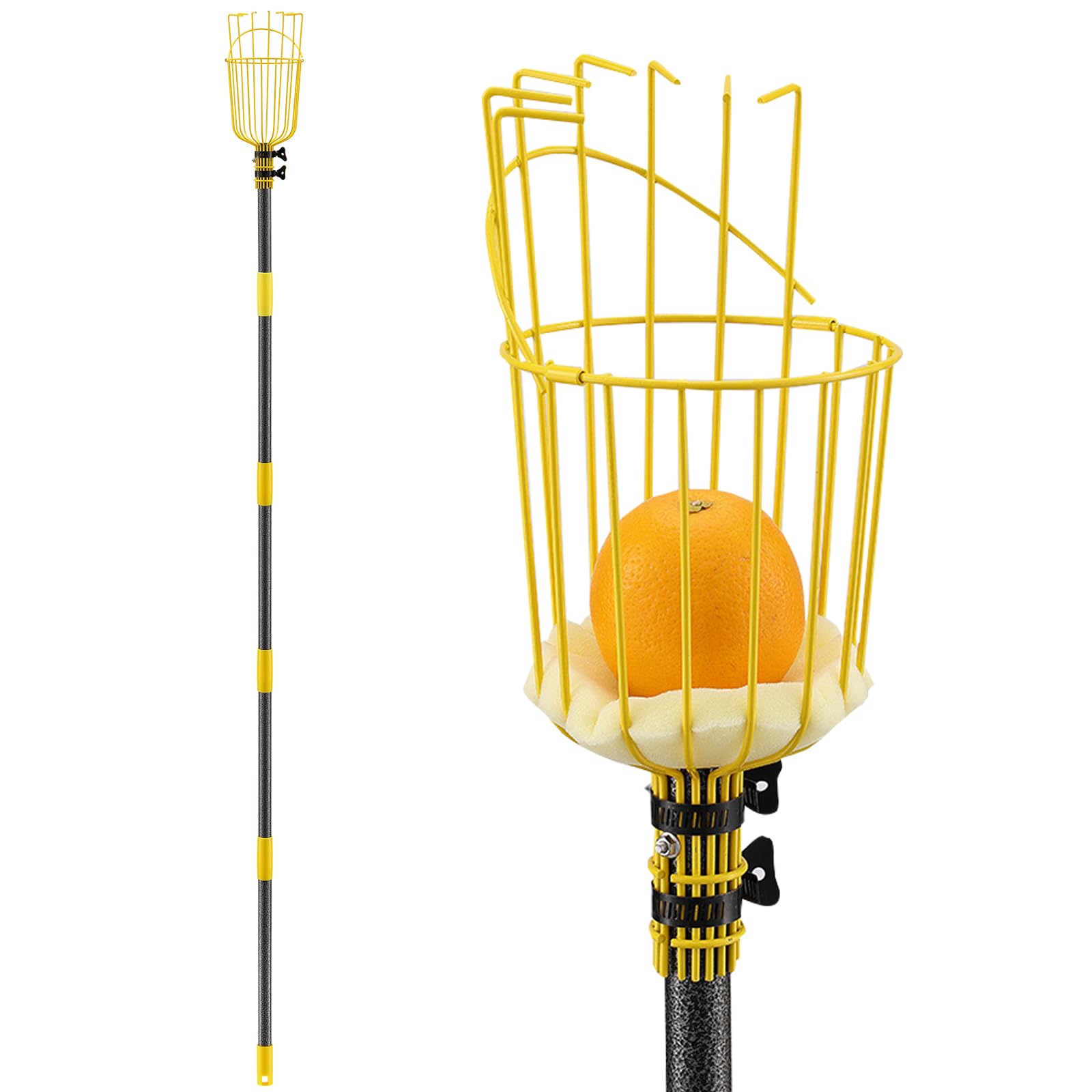 Extendable Fruit Picker with Basket - 5ft Telescopic Pole for Picking ...