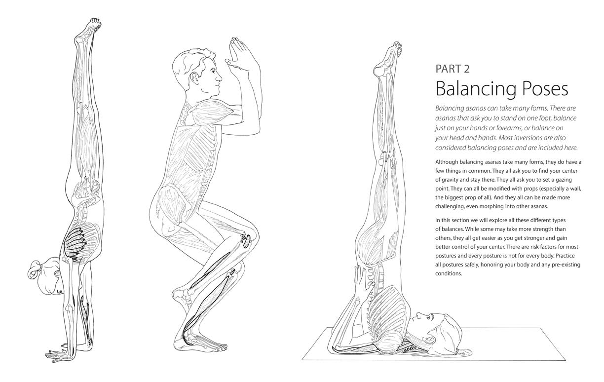 Mua Pose by Pose: Learn the Anatomy and Enhance Your Practice (Volume 2 ...