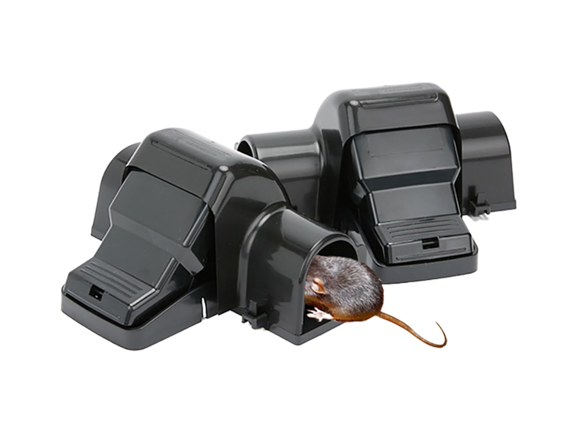 Optimized for The Rat's Head Size. Mouse & Rat Traps, Prevents ...
