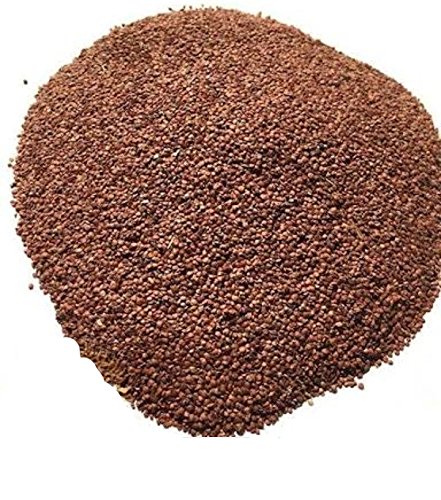 Buy Sky life Lajwanti Seed - 400 Grm - Chui Mui Seed - Mimosa Punica ...