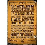 Amazon.com: Harry Potter Quotes 24x36 Poster: Posters & Prints