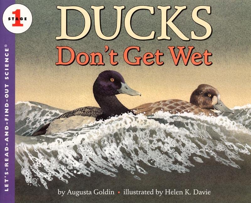 Amazon.com: Ducks Don't Get Wet: Goldin, Augusta, Davie, Helen K.: Books