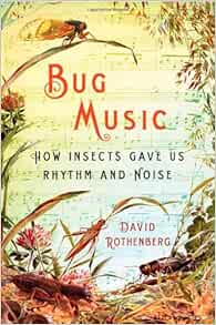 Bug Music: How Insects Gave Us Rhythm and Noise: David Rothenberg ...