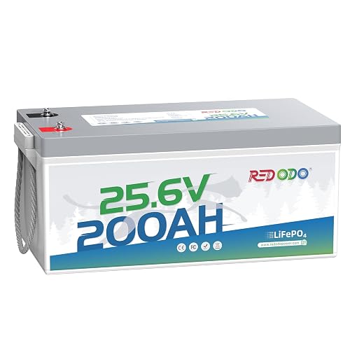 Redodo 24V 200Ah LiFePO4 Lithium Battery, Built in 200A BMS, Max ...