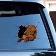 Amazon.com - Zpahq Dachshund Car Cracking Sticker,11.8 x11.8in 3D Vinyl ...