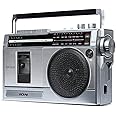 Amazon.com: Ion Audio RETROROCKER2 Retro Rocker 2 Boombox with ...