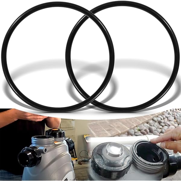 Zodiac duoclear 130 replacement electrode 60 photos - Youhoroscope.com