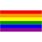 Amazon.com - Rogue River Tactical 4 Pack Rainbow Flag Car Decal Bumper ...