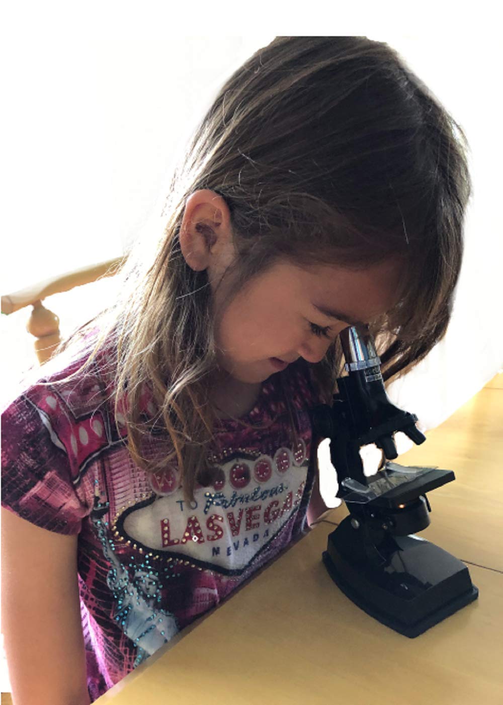 Mua The Magic School Bus: Microscope Lab trên Amazon Mỹ chính hãng 2024 ...