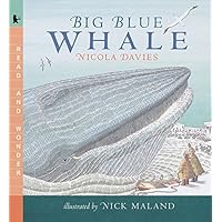 Big Blue Whale: Read and Wonder: Davies, Nicola, Maland, Nick ...