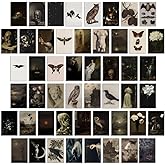 Amazon.com: TWNSLLA Moody Dark Academia Decor Wall Art for Home,50pcs ...