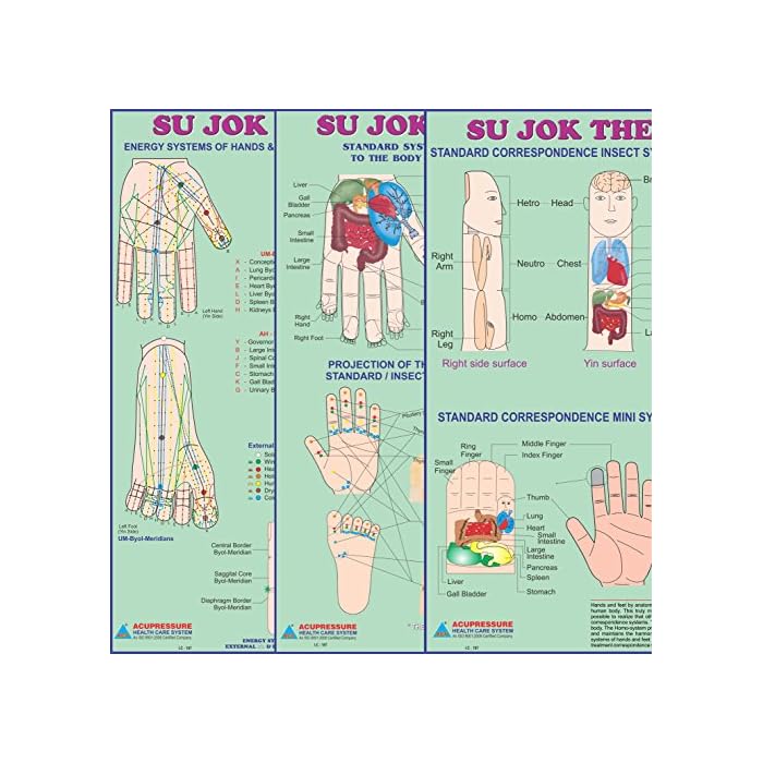 Buy Sujok Therapy Chart-Set of 3 Size 20"x30" Wall Chart – 2016 Online ...