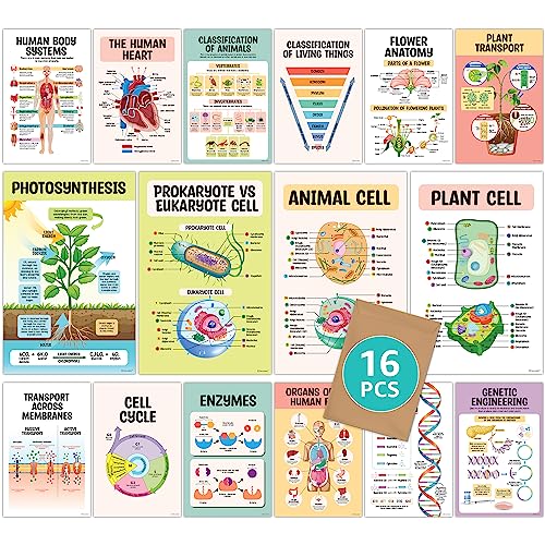 Mua 16 Science Posters for Classroom Middle School - 11X17In Biology ...