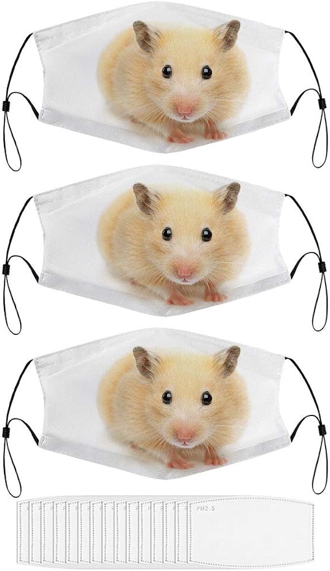 No-140297 Hamster Reusable Face Mask for Men & Women: Amazon.ca ...