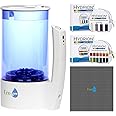 Amazon.com: Eco One Portable Hypochlorous Acid (HOCL) Generator Machine ...