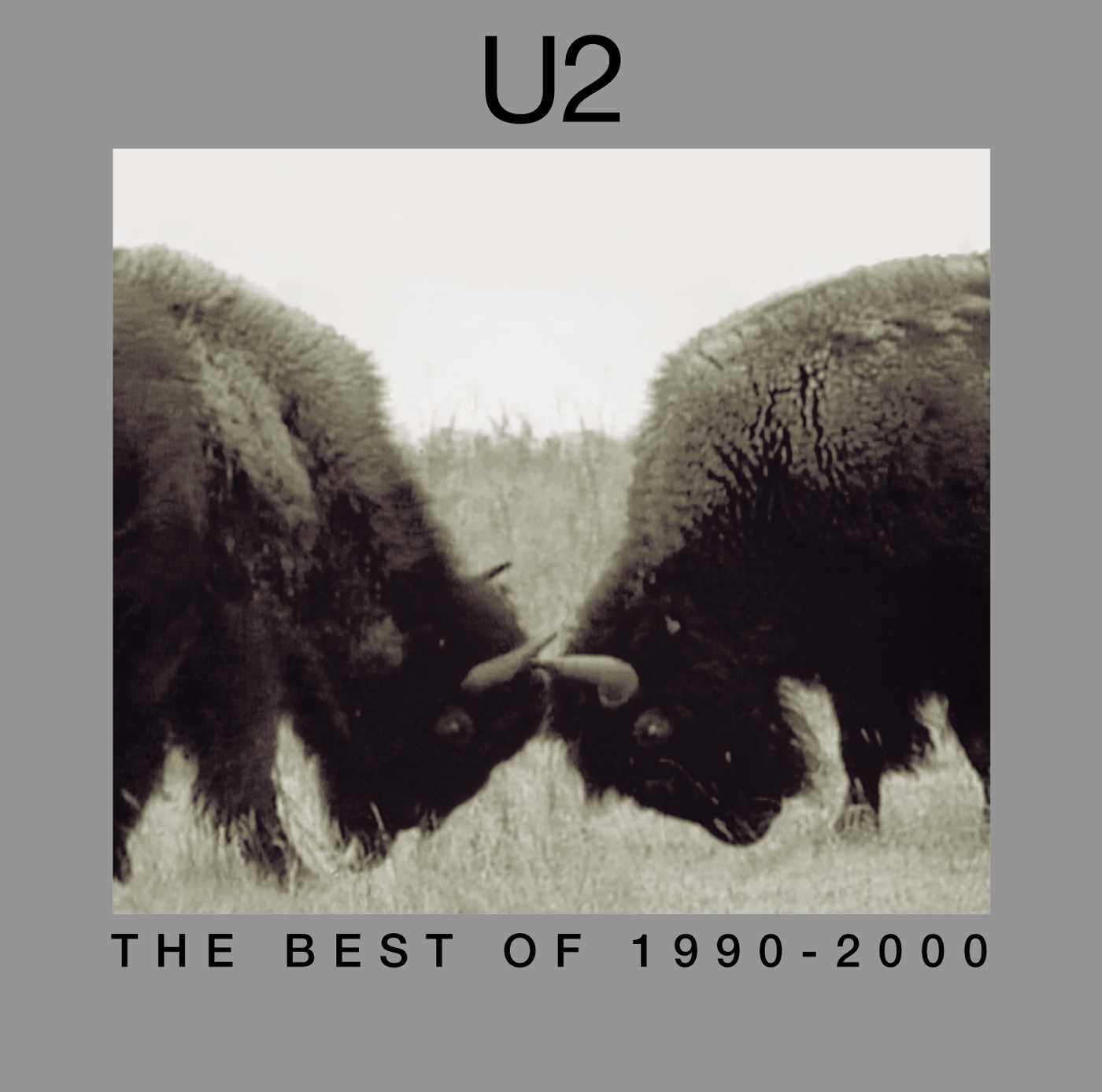 Collection Best Of : U2 The Best Of 1990 2000: U2: Amazon.fr: Musique