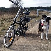 Walky Dog Plus Hands Free Dog Bicycle Exerciser Leash Newest Model with ...