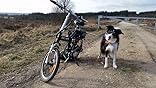 Walky Dog Plus Hands Free Dog Bicycle Exerciser Leash Newest Model with ...