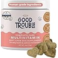 Amazon.com: Good Trouble Pets Complete Care Dog Multivitamin, Ashwagandha, Biotin, Yucca ...