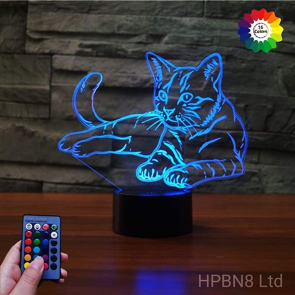 Amazon.com: HPBN8 Ltd Creative Cat Night Light USB Powered Touch Switch ...