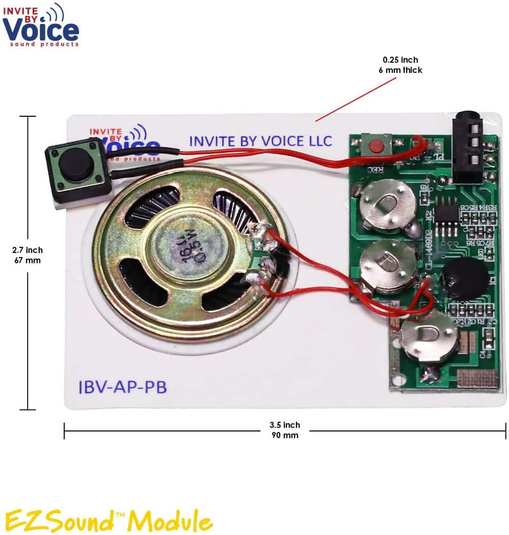 EZSound Module – Push Button Activated – Easy to Record – 120 Seconds ...