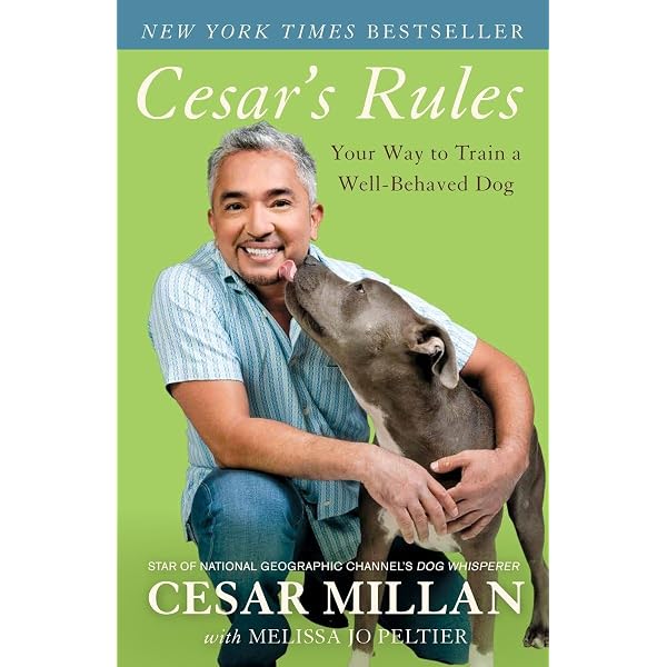 Camino De Cesar Por Cesar Milan Home Cesar Millan
