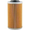 Amazon.com: HiFloFiltro HF556 Premium Oil Filter, Single : Everything Else