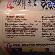 Webber Naturals Magnesium, 500 mg: Amazon.ca: Health & Personal Care