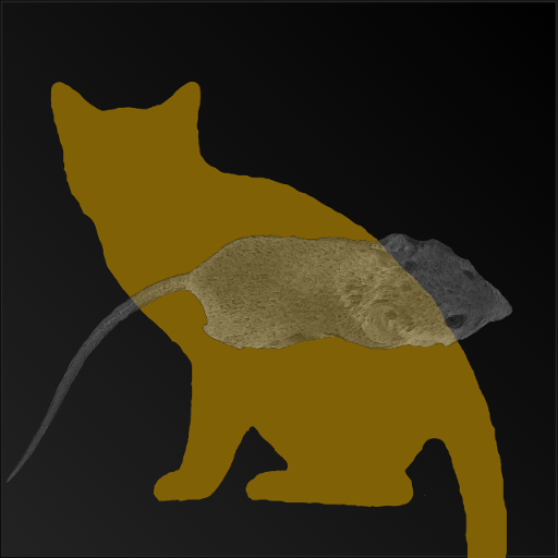 Mice Catch - Cat Game:Amazon.com:Appstore for Android