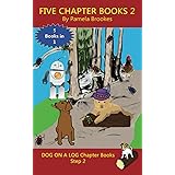 Five Chapter Books 4: Systematic Decodable Books for Phonics Readers ...