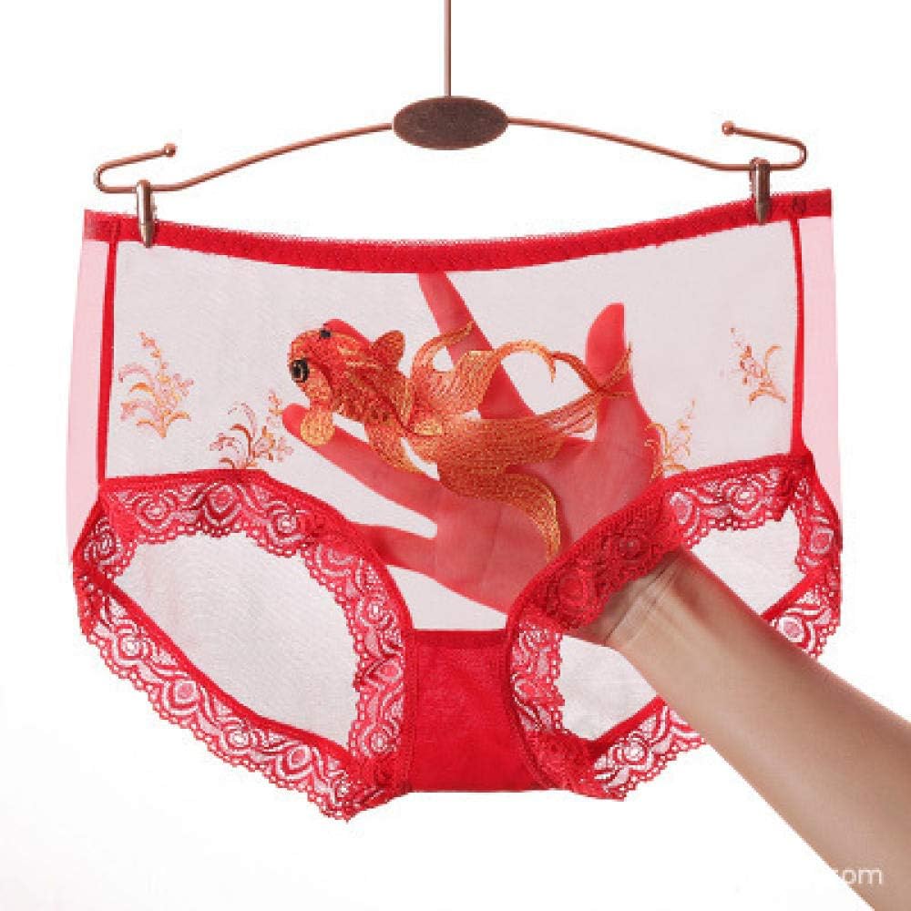 Calzoncillos Calzoncillos De Cintura Media con Encaje Transparente para ...