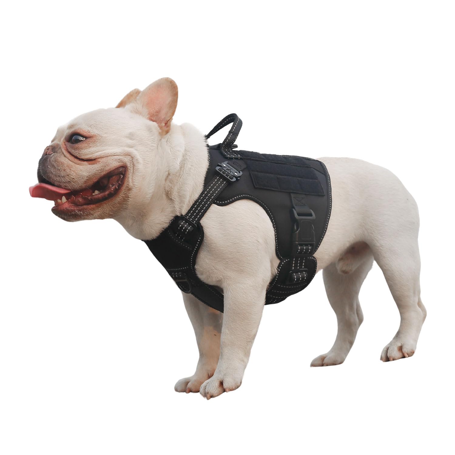 ICEFANG GN1 Reflective Tactical Dog Harness Small Sized, MOLLE K9 Dog ...